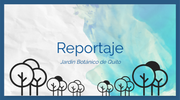 Reportaje