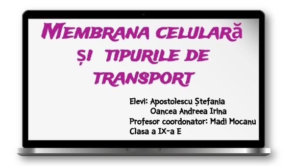 Copy - BASIC PRESENTATION | Genially