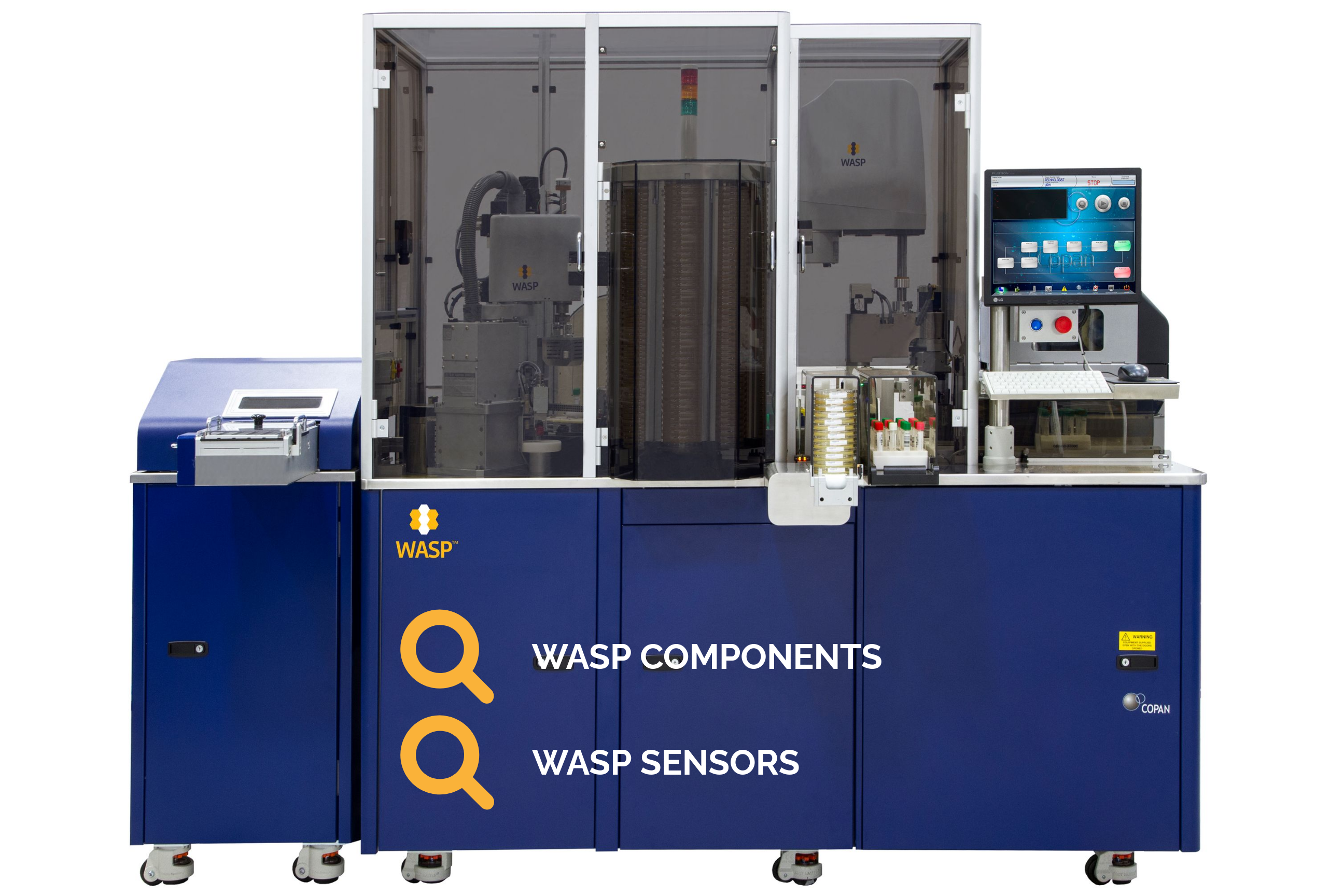 WASP GLOSSARY | Genially