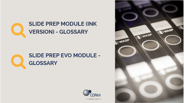 SLIDE PREP GLOSSARY | Genially