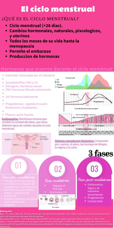 Ciclo menstrual biologia