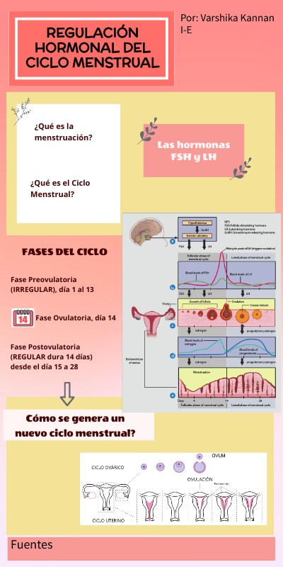 Regulacion hormonal del ciclo menstrual | Genially
