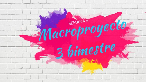 MACROPROYECTO 3 BIMESTRE GRADO 8