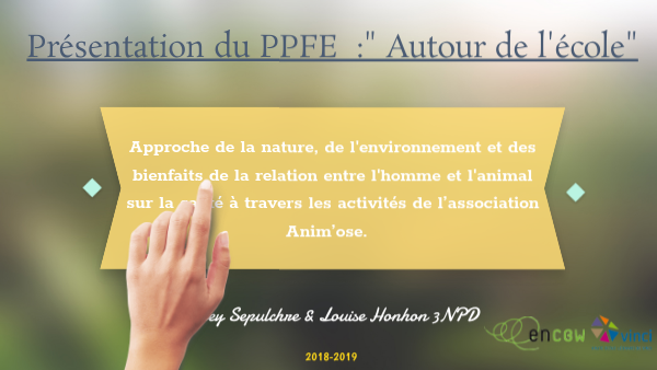 PPFE "Autour de l'école' | Genially