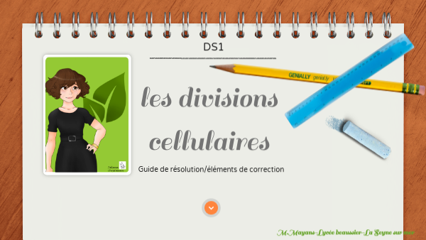 1 SPE DS1 correction