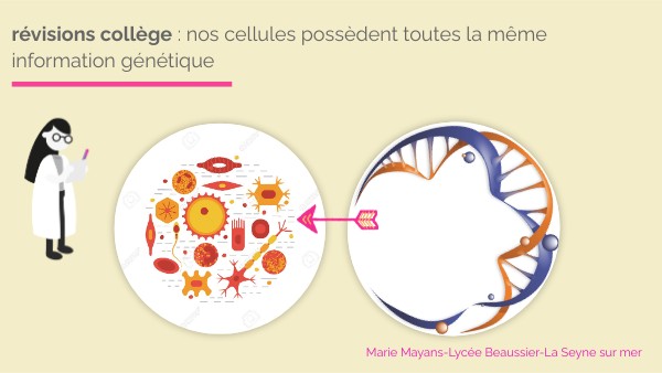 1 SPE révision seconde génétique | Genially