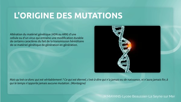 1SPE l'origine des mutations | Genially