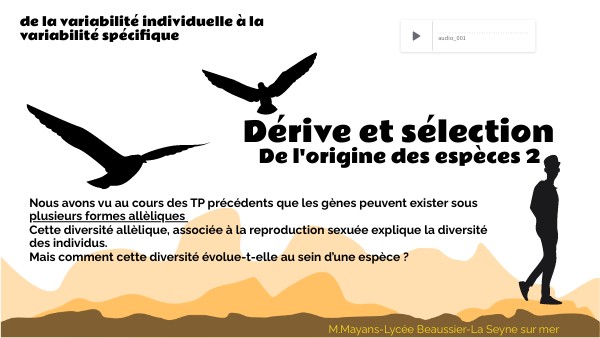 2° Derive et sélection | Genially