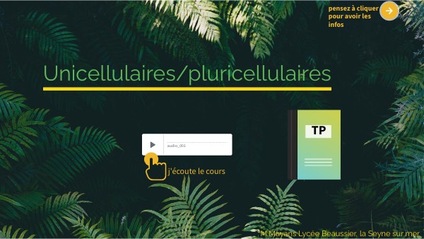 2° organisme pluricellulaire : des cellules spécialisées