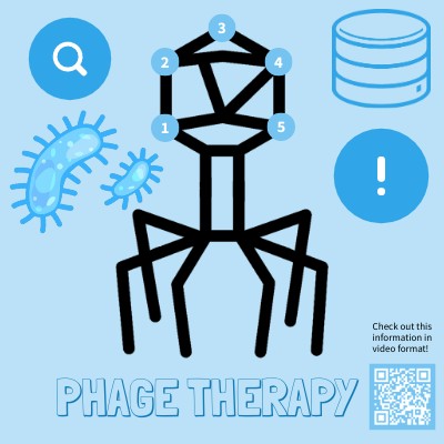 Viral Warriors: Insight into Phage Therapy