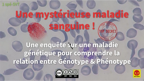 Mystérieuse maladie sanguine | Genially