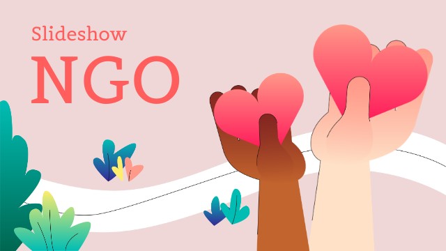 NGO VIDEO