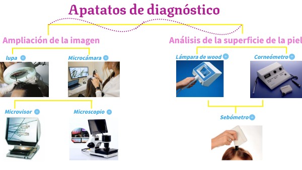 Aparatos de diagnóstico | Genially