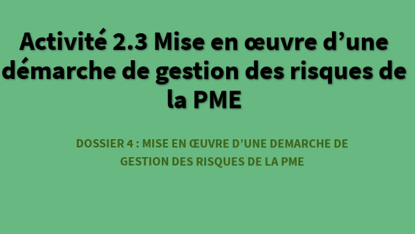 Dossier 4 BTS 2 Gestion du risque | Genially