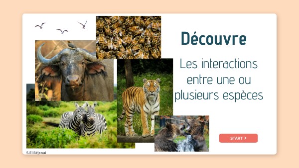 Les interactions entre les espèces | Genially