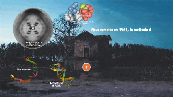 Le code secret de la vie | Genially