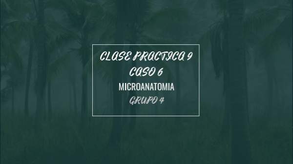 CLASE PRÁCTICA 9. CASO 6