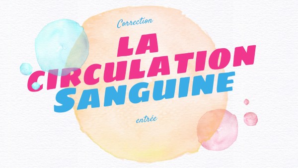 correction la circulation sanguine | Genially