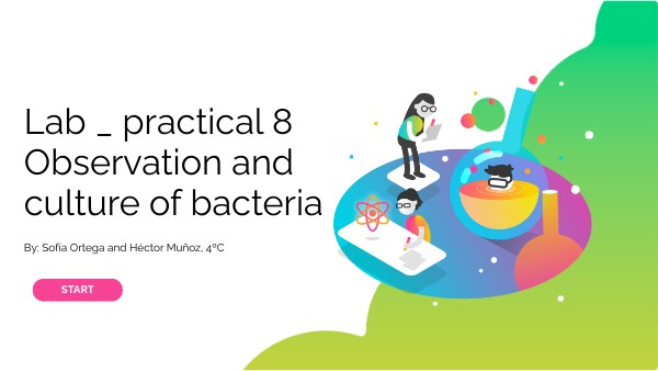 Lab_practical 9: Observation of onion root mitosis. Sofía and Héctor