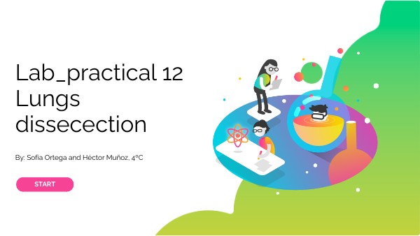 Lab_practical 12: Lungs dissection. Sofía and Héctor | Genially