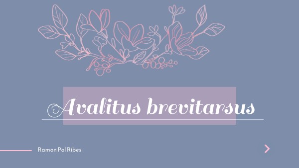 Presentación Flores y Plantas | Genially