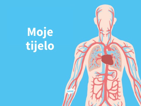 Moje tijelo | Genially