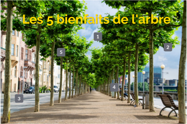Les 5 bienfaits de l'arbre | Genially