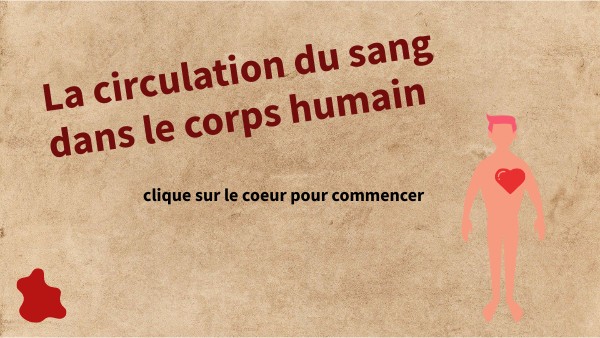 circulation sanguine | Genially
