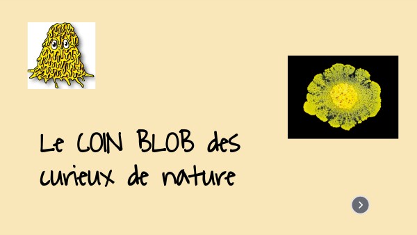 l'aventure BLOB à Molière | Genially