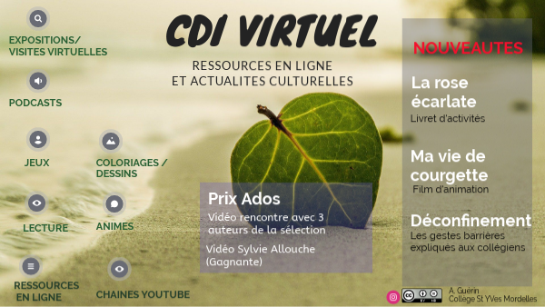 CDI VIRTUEL