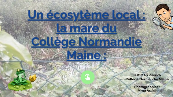 La mare : un écosystème du collège Normandie Maine : | Genially
