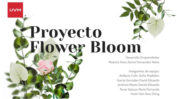 PROYECTO FLOWER BLOOM