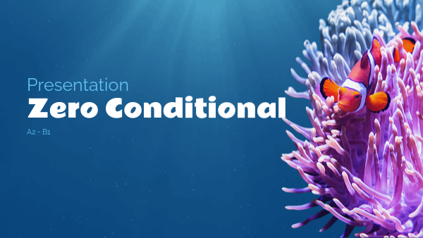 Zero conditional