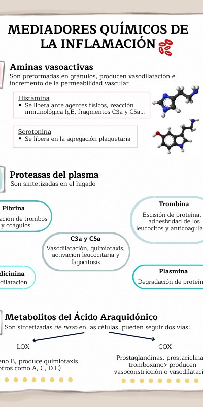 Mediadores de la inflamación | Genially