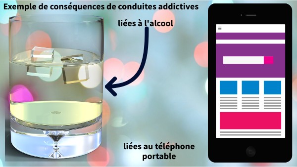 PSE CHAP 4 ADDICTION conséquence