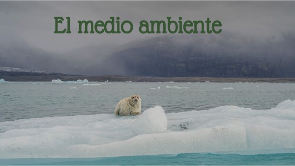 El medio ambiente