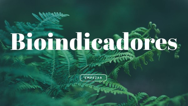 Bioindicadores | Genially