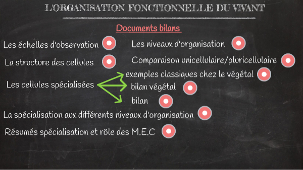 Bilan L'organisation fonctionnelle du vivant | Genially