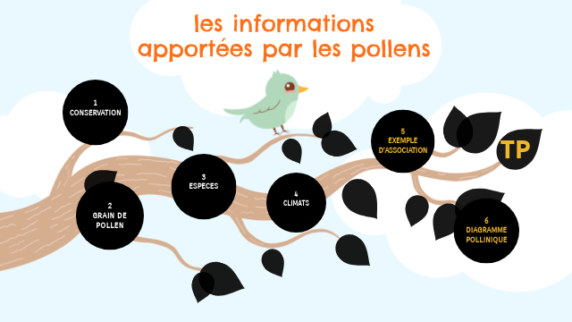 TP pollen | Genially