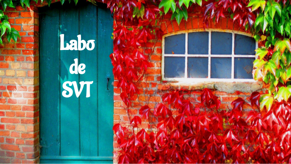 labo de SVT