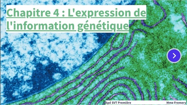 chapitre 4 premiere expression IG | Genially