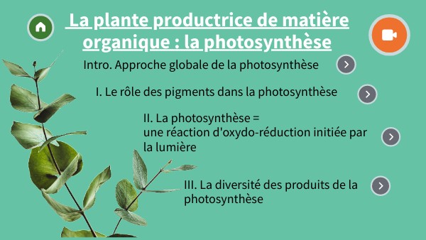 photosynthese partie 1 | Genially