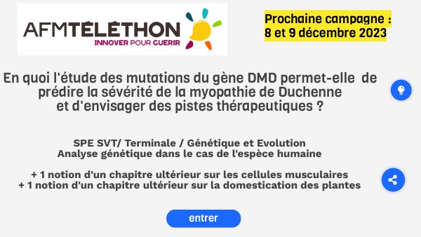 TP2 myopathies | Genially