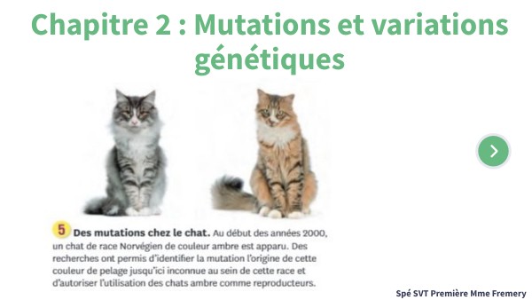 chapitre 3 mutations | Genially