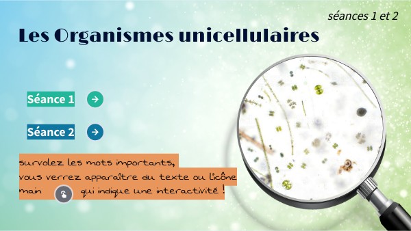 svt seconde unicellulaires | Genially