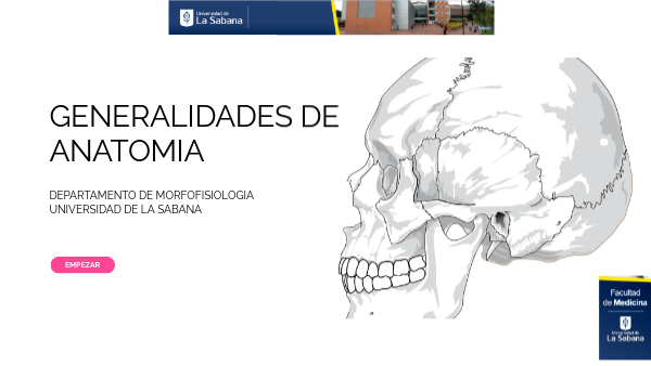 GENERALIDADES ANATOMÍA | Genially