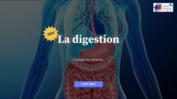 La digestion