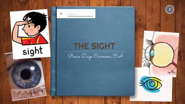 Final task:the sight | Genially