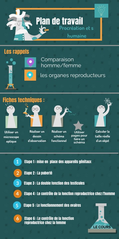 Plan travail | Genially