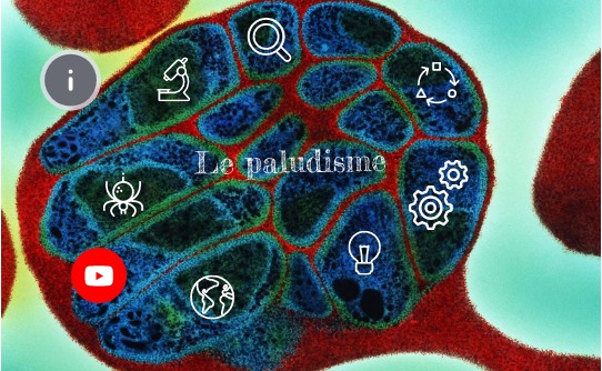2nde P3-Chp1 Activite 2 Paludisme